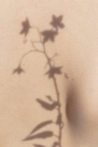 Download DA Form 638 PDF - Free Military Award Template