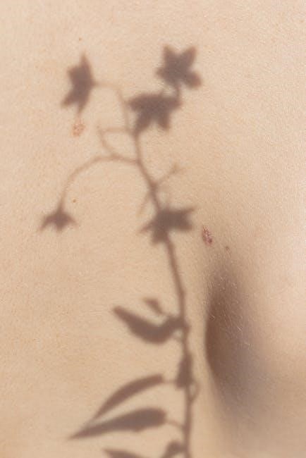 Download DA Form 638 PDF - Free Military Award Template